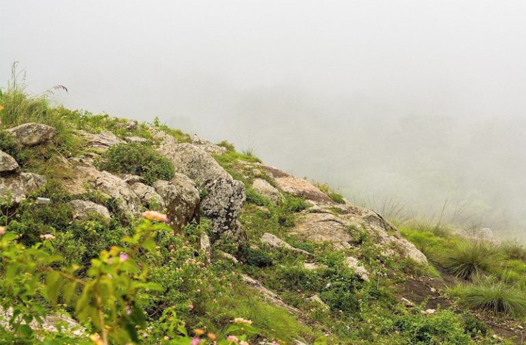 Tirupur Tamil Nadu | Luxury Trails