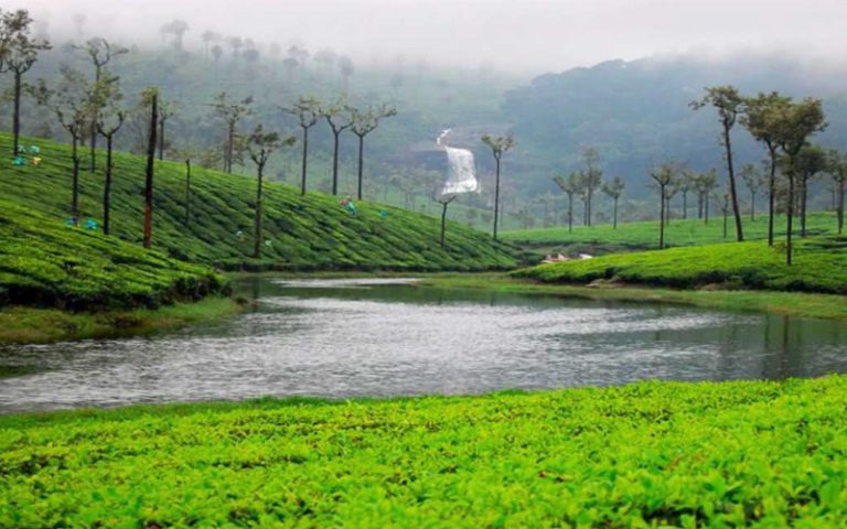 Valparai Tamil Nadu | Luxury Trails of India