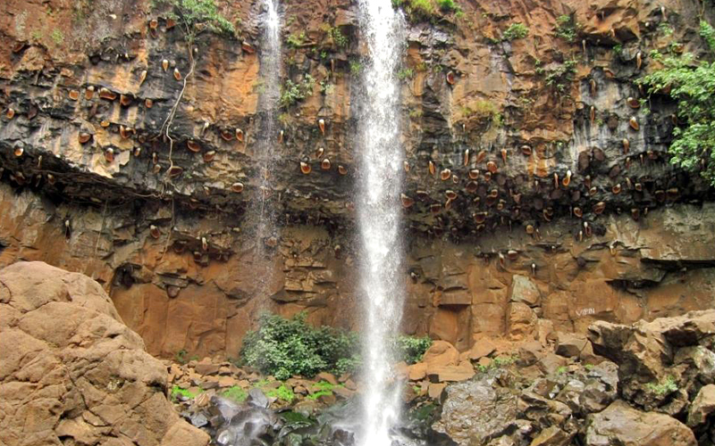 Amarkantak Madhya Pradesh | Luxury Trails of India