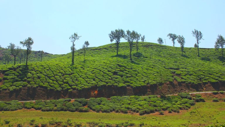 Kalpetta Town Kerala