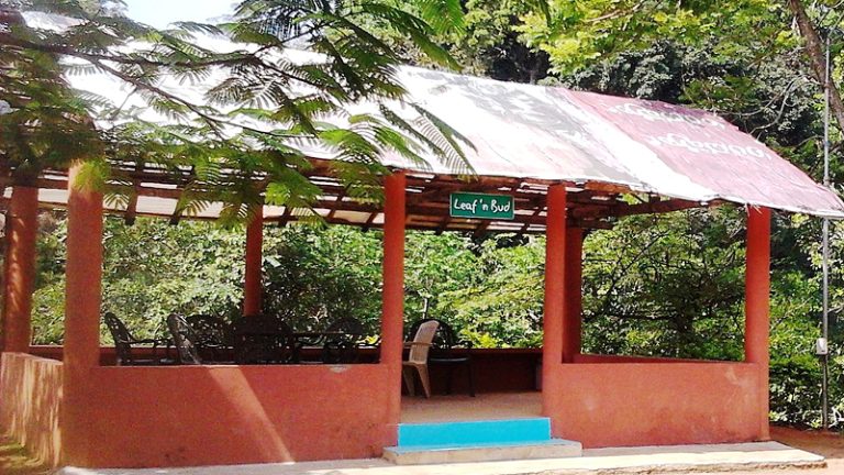 Kalpetta Town Kerala | Luxury Trails