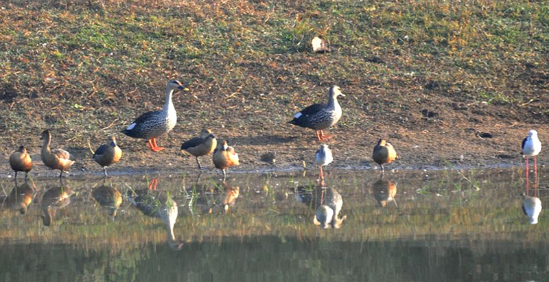 Ayodhya Hills Purulia West Bengal | Luxury Trails