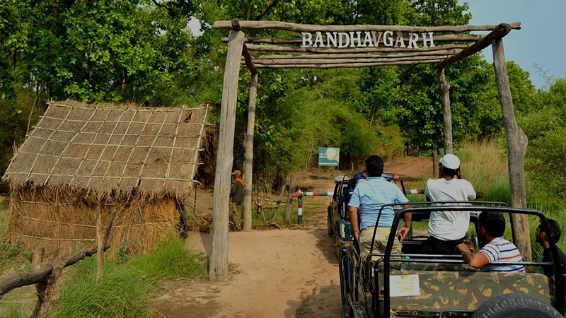 Bandhavgarh National Park | Luxury Trails of India